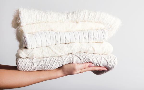 How to Get Rid of Clothes Moths and Their Larvae - The Facts