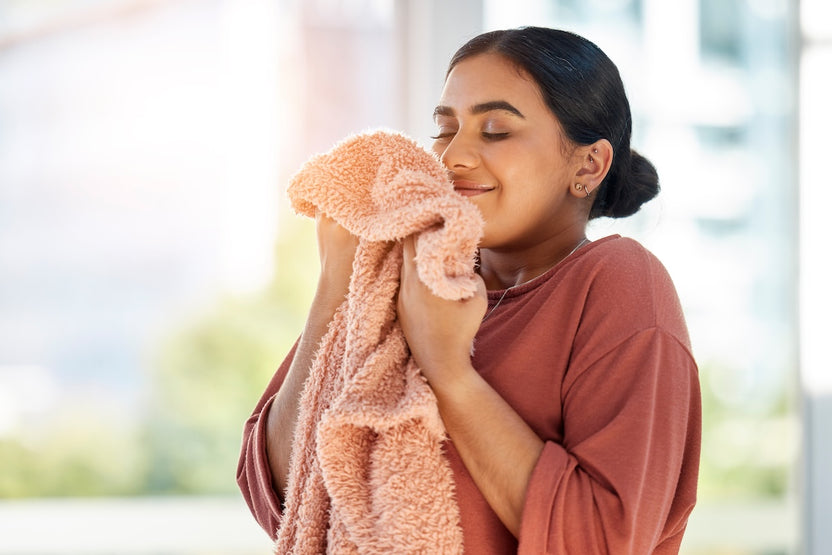 How to Fight a Moth Infestation and Protect Your Home