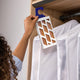 Powerful Clothes Moth Traps for Closets by MothPrevention