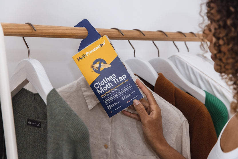 How To Get Rid of Closet Moths, Larvae and Eggs